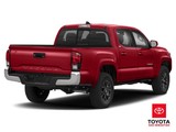 Toyota Tacoma 4WD SR5 2023 para Compra/Venta | Vehículos en ...